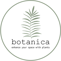 The Brand – Botanica Plant Store